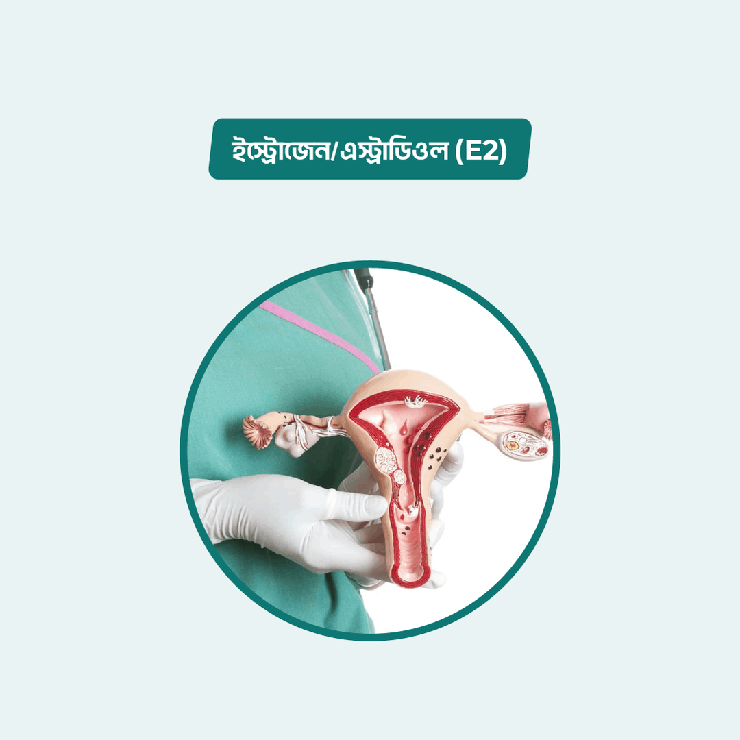 Book Oestrogen/Estradiol (E2) Lab test Online from Home - Arogga