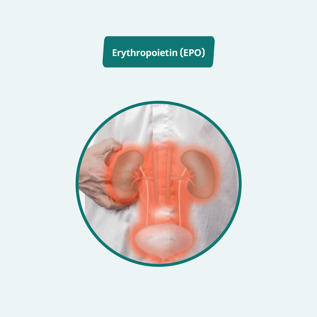 Erythropoietin(EPO) - Arogga Online Lab