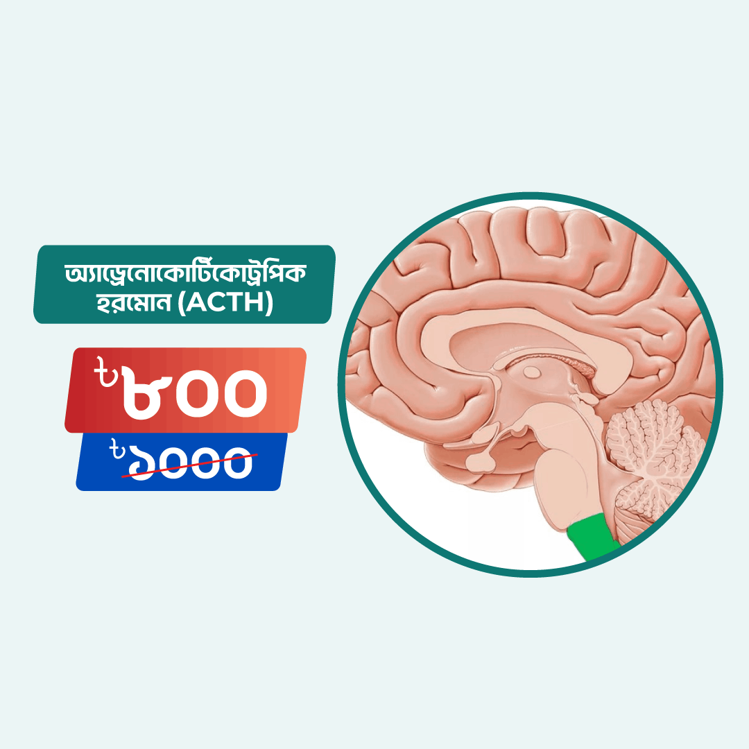 Adrenocorticotropic Hormone (ACTH) - Arogga Online Lab