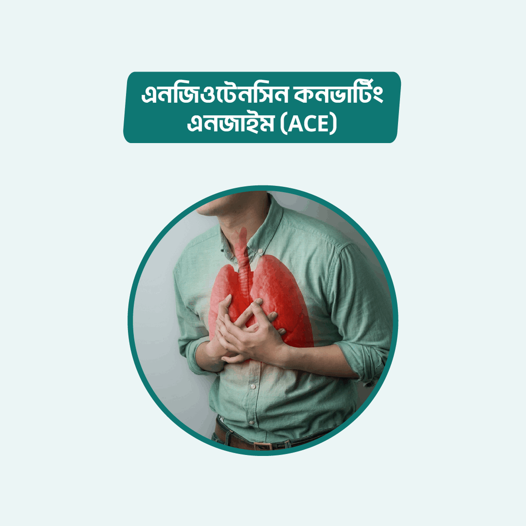 Angiotensin Converting Enzyme (ACE) - Arogga Online Lab